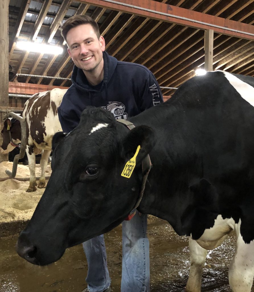 Dairy Farm expands herd with 7 Wildcats – Barstow's Dairy Store and Bakery