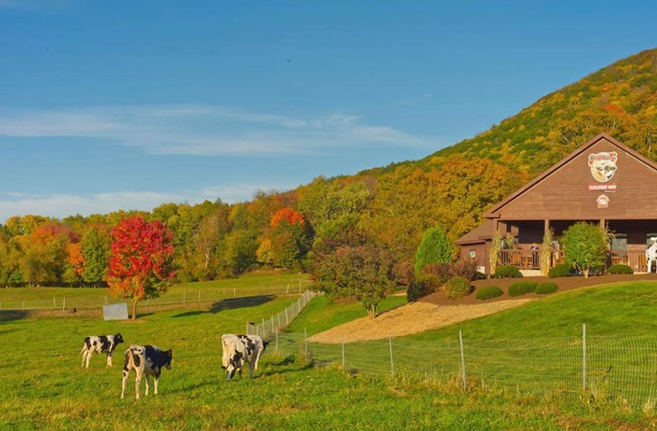 9 Ways you can Support your Local Dairy Farm – Barstow's Dairy Store ...