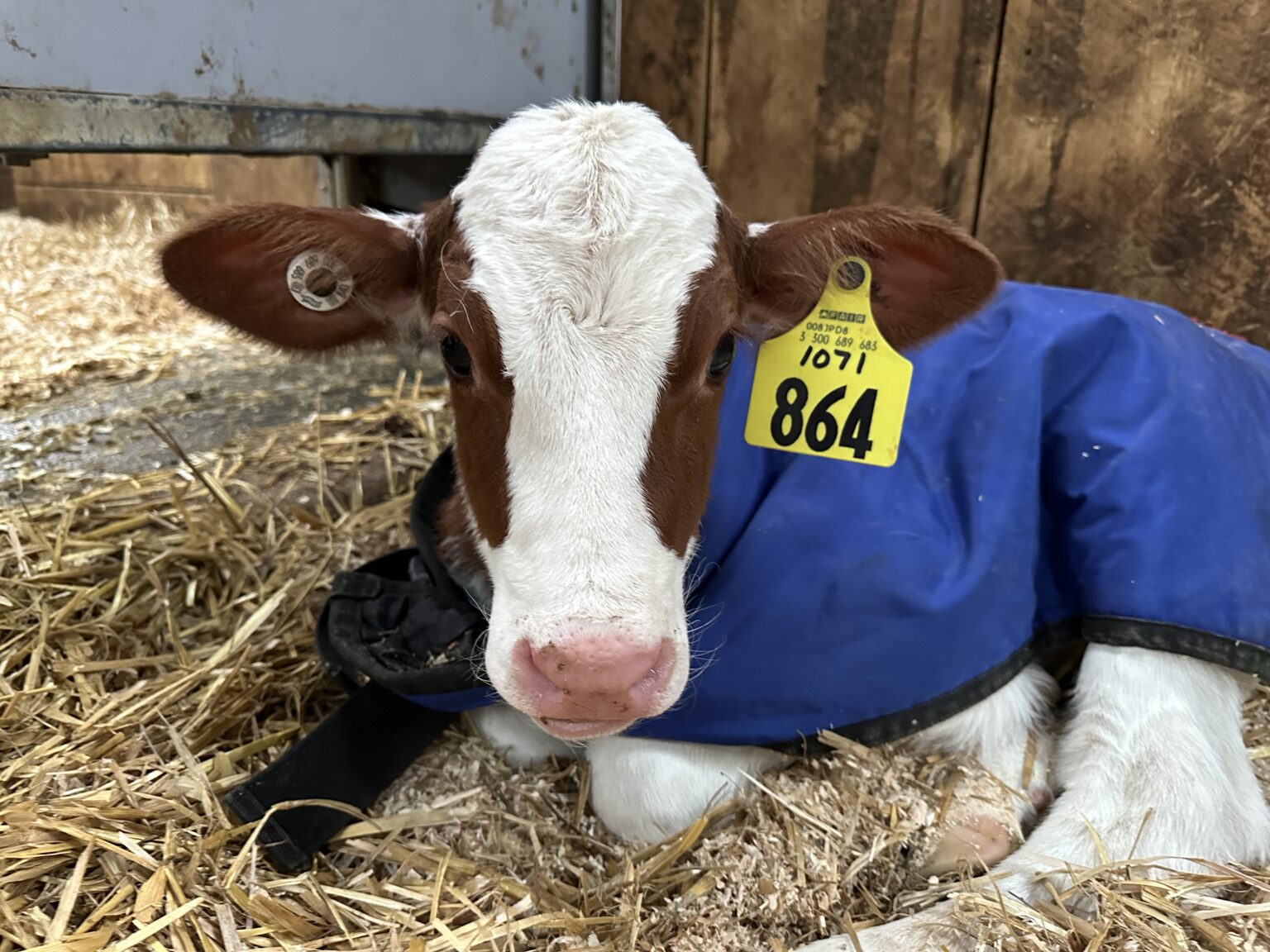 Barstow's Dairy Store and Bakery – Absolutely Local, Absolutely Delicious
